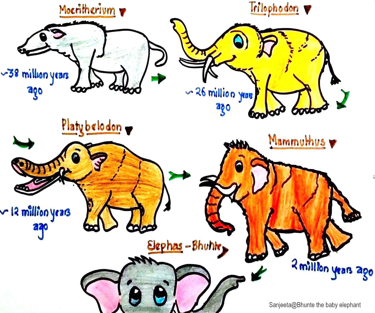 Bhunte’s ancestors – Bhunte: The baby elephant